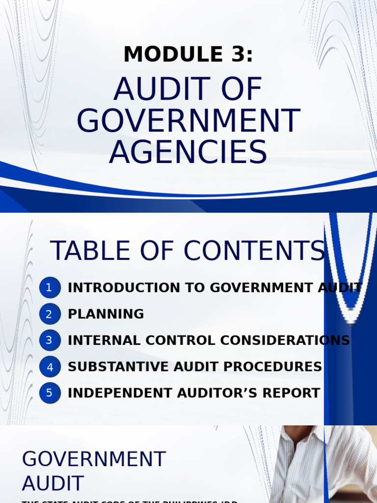 Government Audit Procedures Overview | PDF | Internal Control | Audit