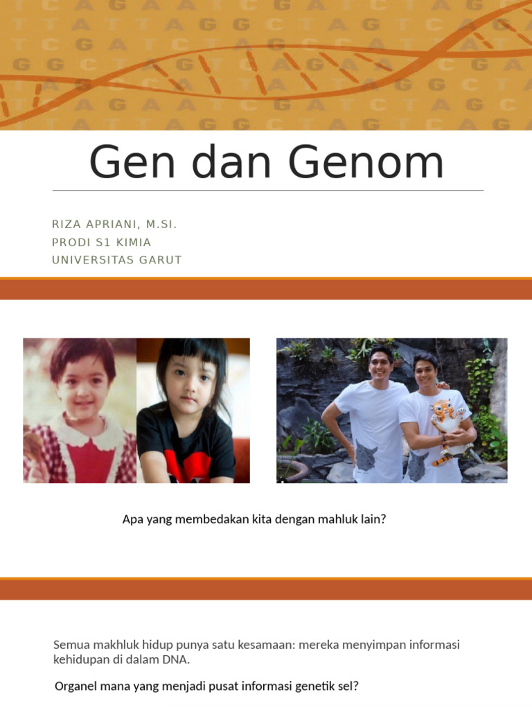 Gen Dan Genom | PDF