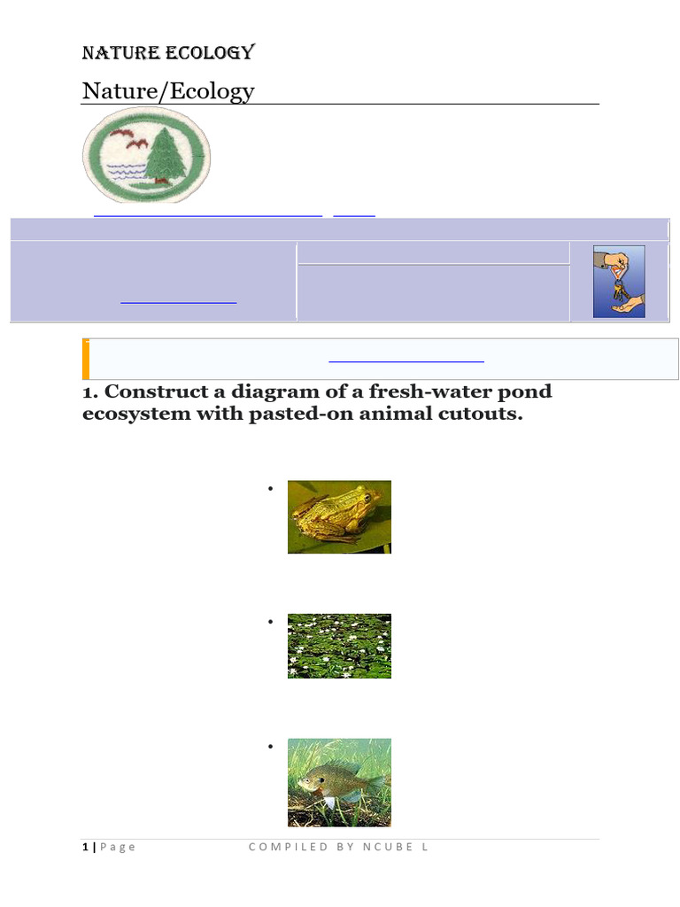 Ecology honor | PDF