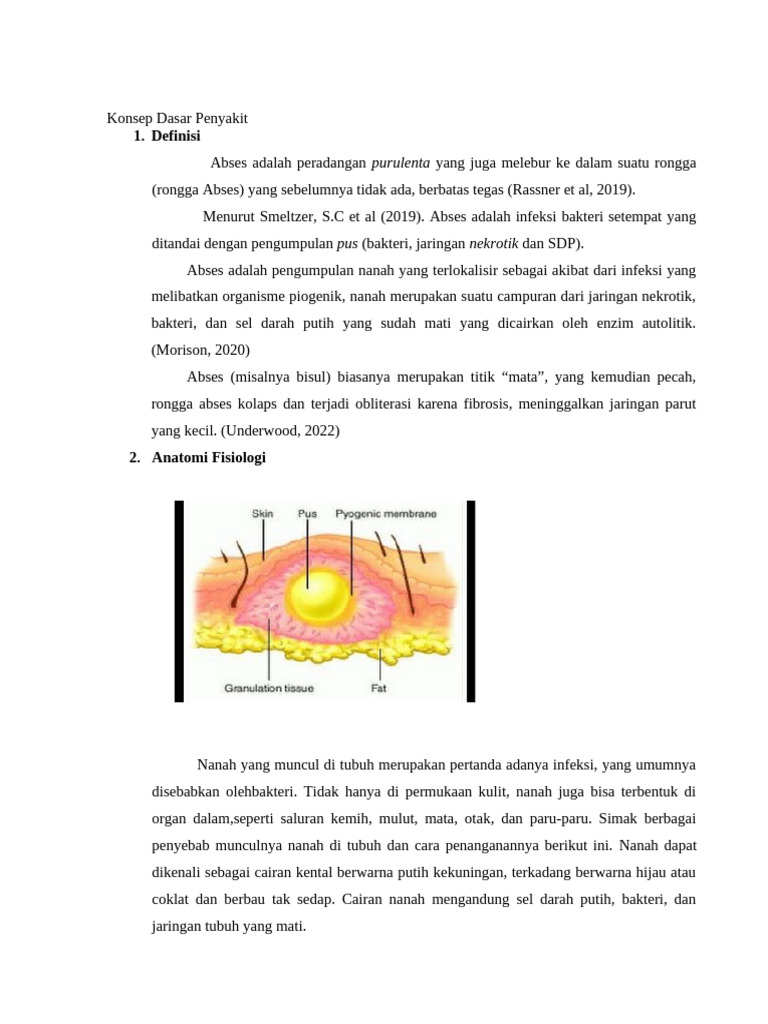 Panduan Lengkap tentang Abses dan Penanganannya | PDF