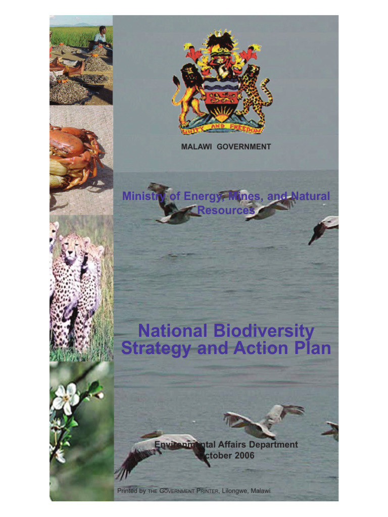 Biodiversity Strategy MW Nbsap 01 en | PDF | Biodiversity ...
