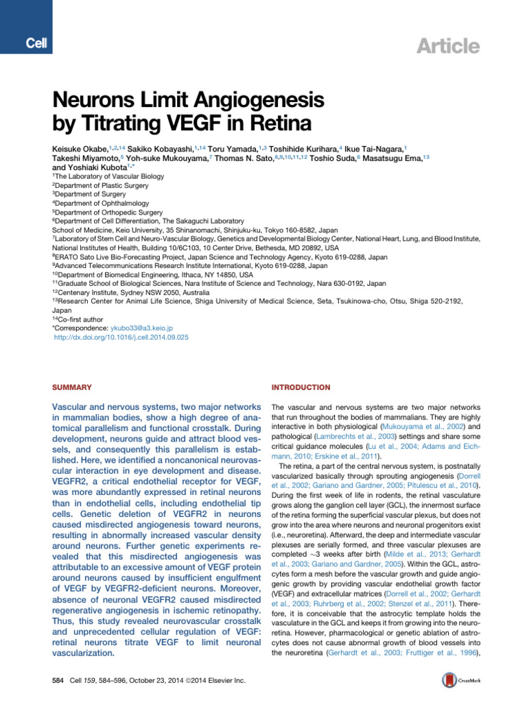 10 mb file 2 | PDF | Angiogenesis | Vascular Endothelial Growth Factor