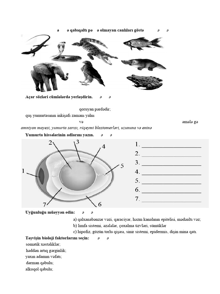 11 Bio KSQ 5 | PDF