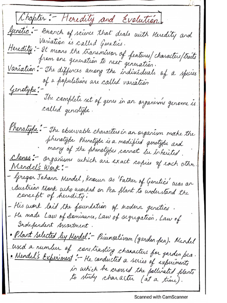 Heredity and Evolution | PDF