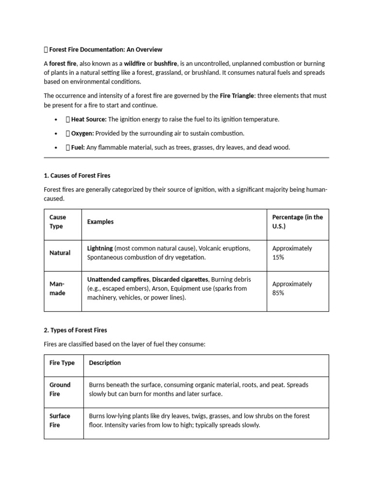 Understanding Forest Fires: Causes & Effects | PDF | Wildfire | Fires