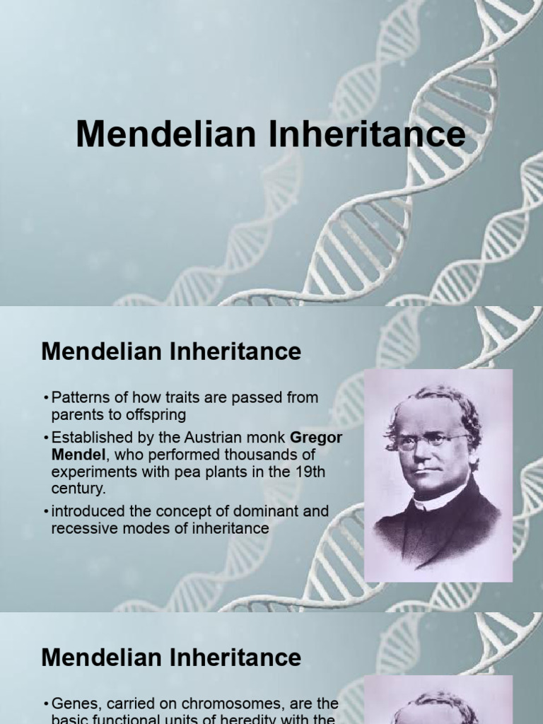 Mendelian Inheritance Genetics | PDF | Dominance (Genetics) | Genotype