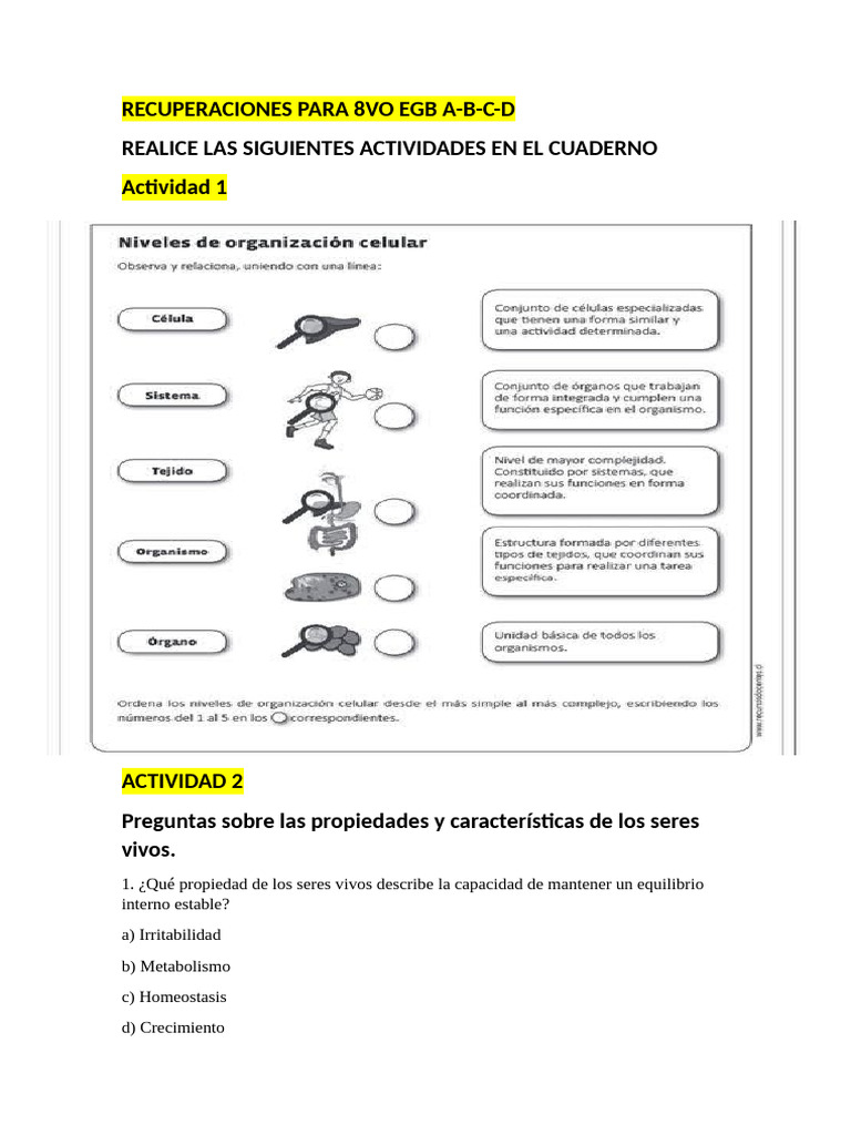 Recuperaciones Para 8vo Egb a b c d | PDF