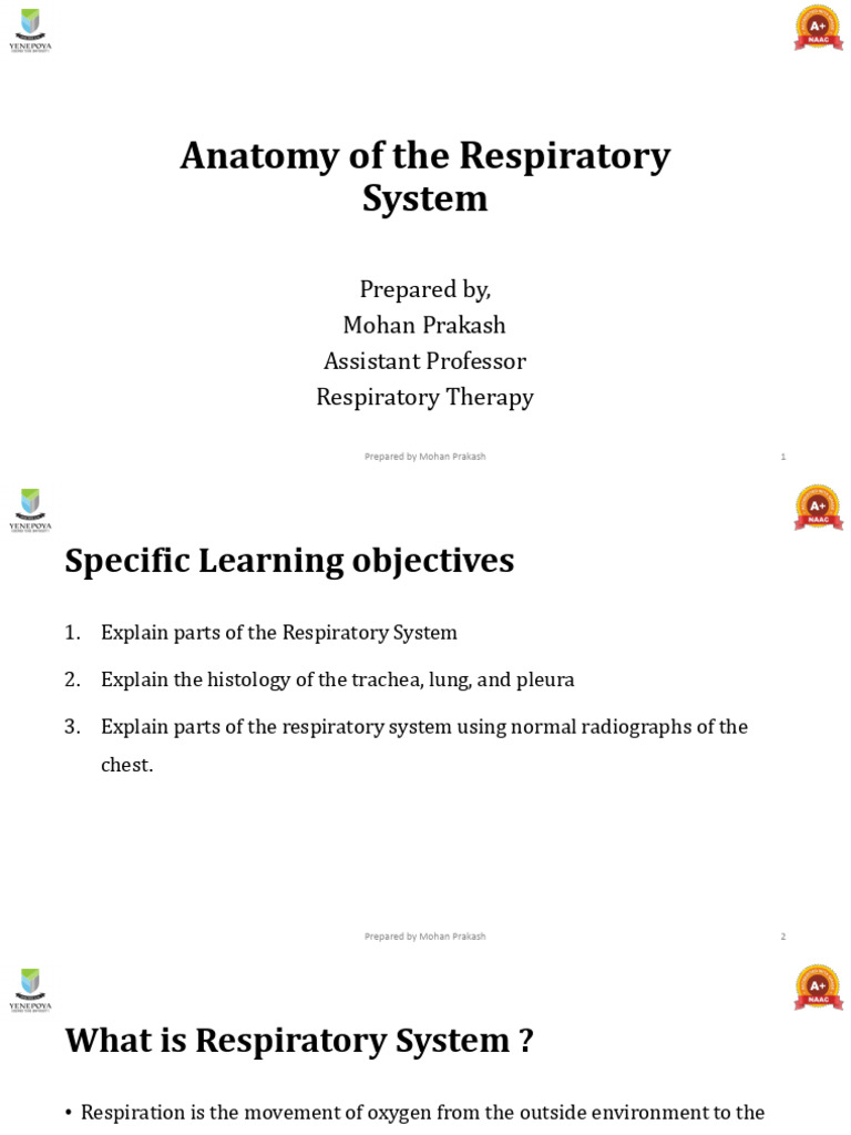 Anatomy Unit 5 Respiratory System by Mohan | PDF | Respiratory Tract | Human Nose