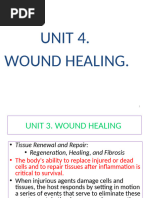 First vs. Second Intention Healing | PDF | Wound Healing | Scar