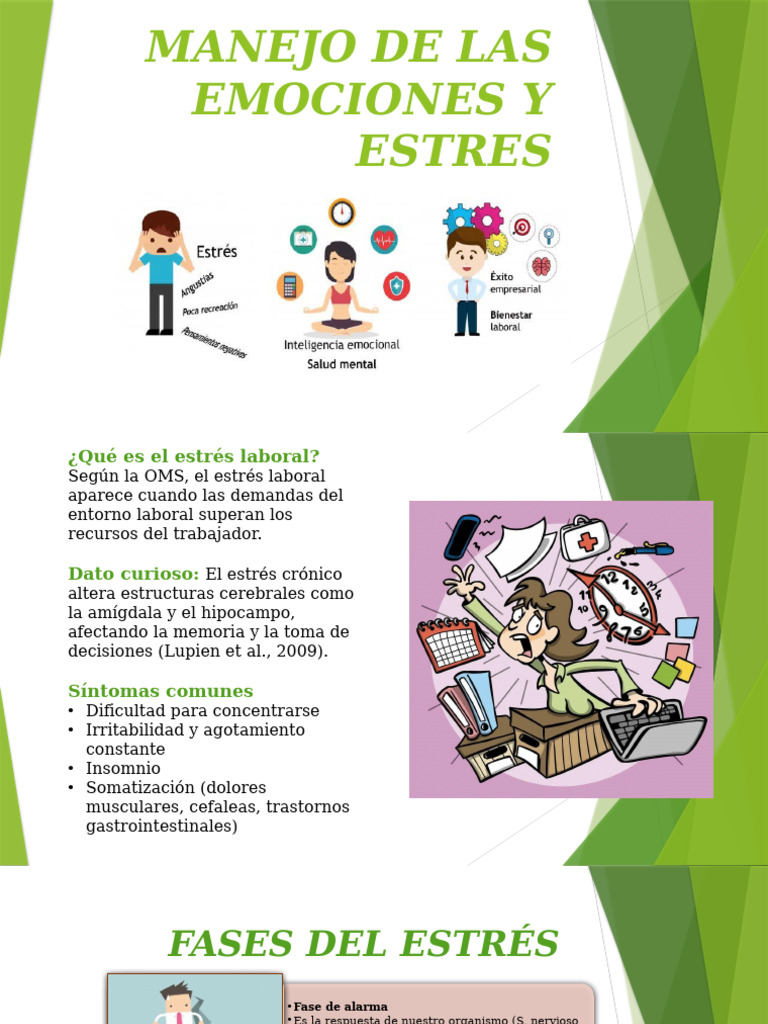 Manejo de Las Emociones y Estrés | PDF | Estrés (biología) | Las emociones