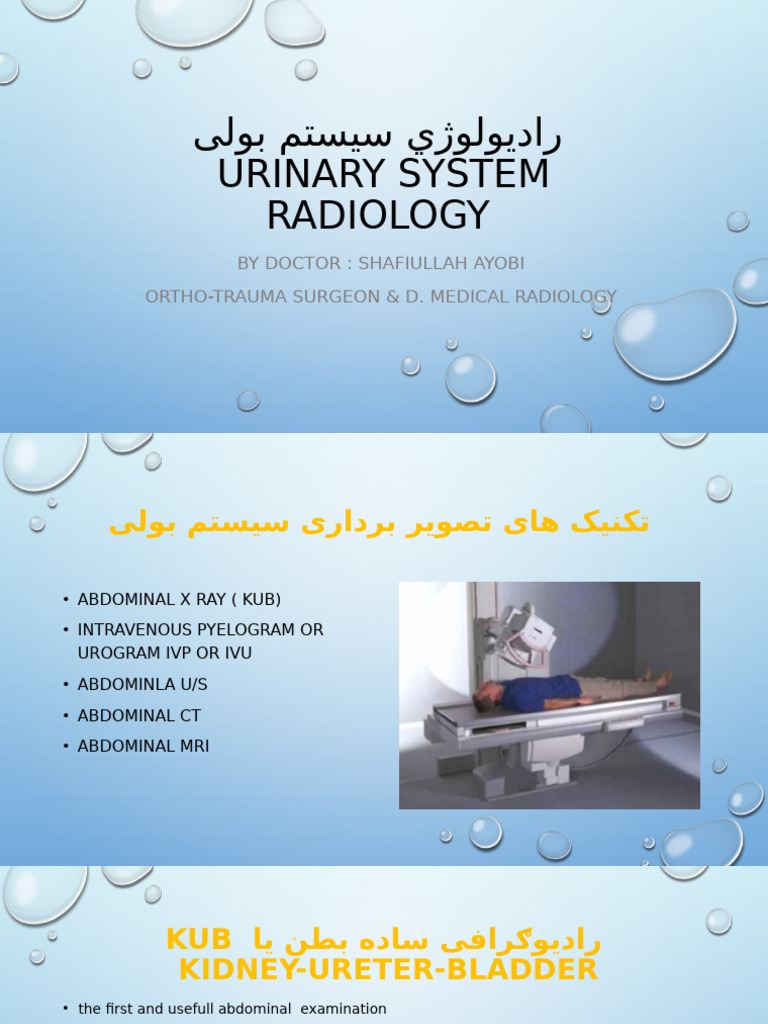 Urinary System Radiology Techniques | PDF | Kidney | Ct Scan