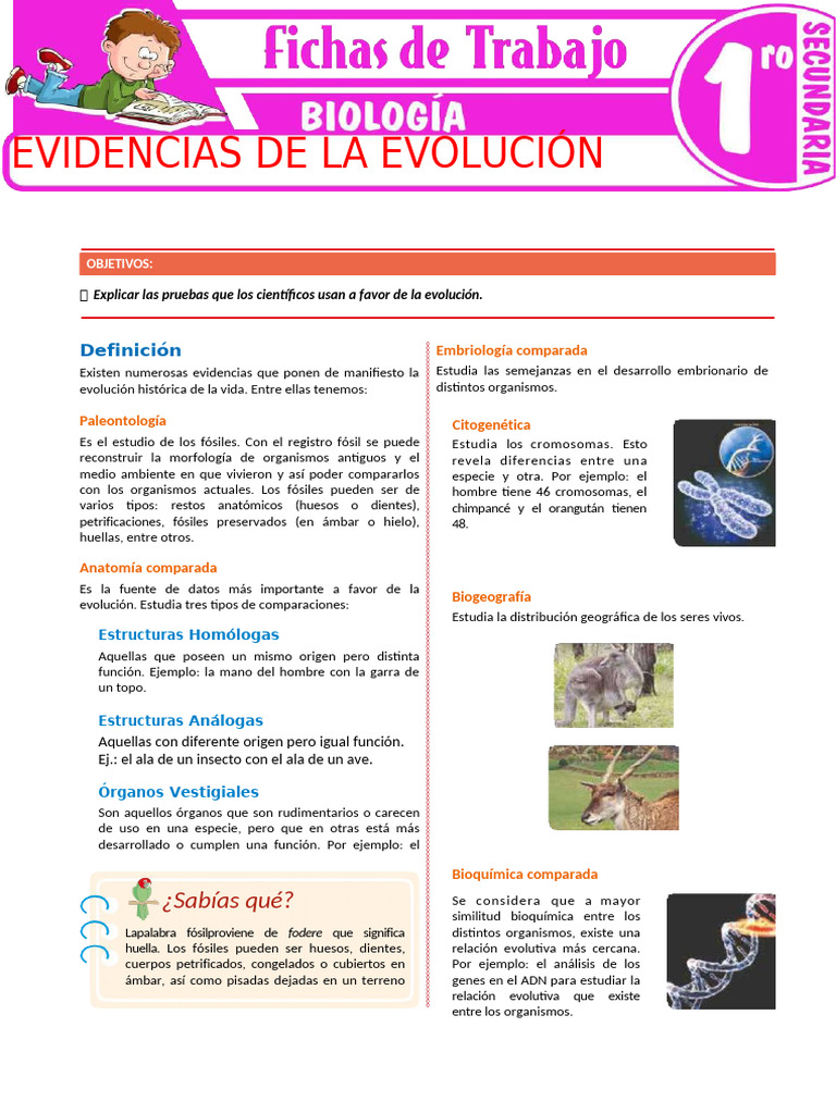 Evidencias de La Evolucion para Primer Grado de Secundaria | PDF ...