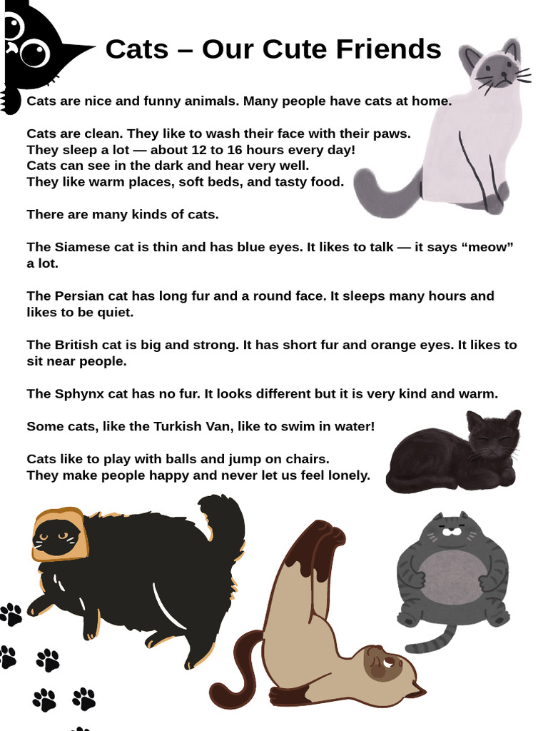 Cats Reading | PDF