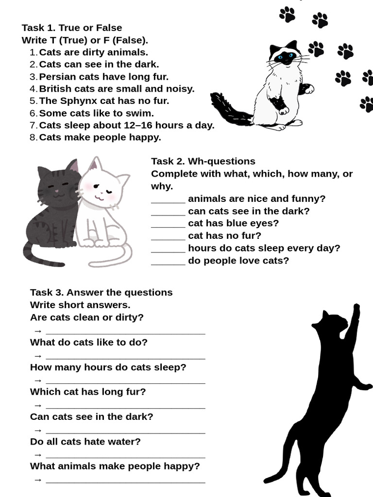 cats ex | PDF