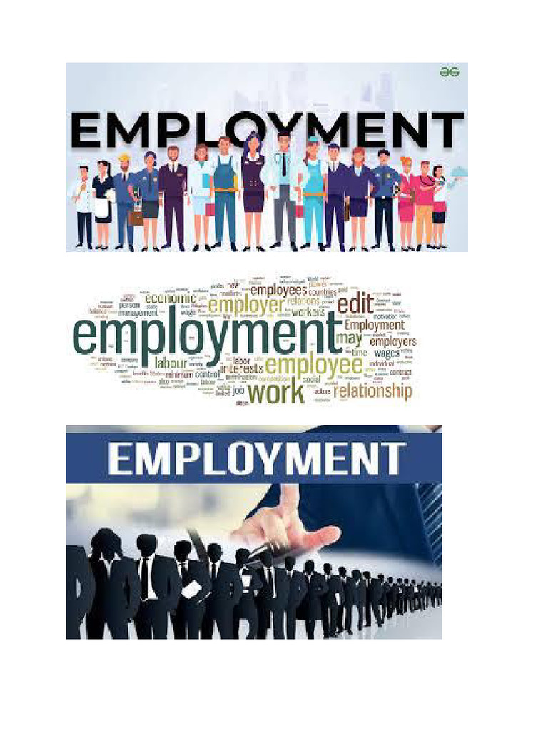 Employment Project | PDF