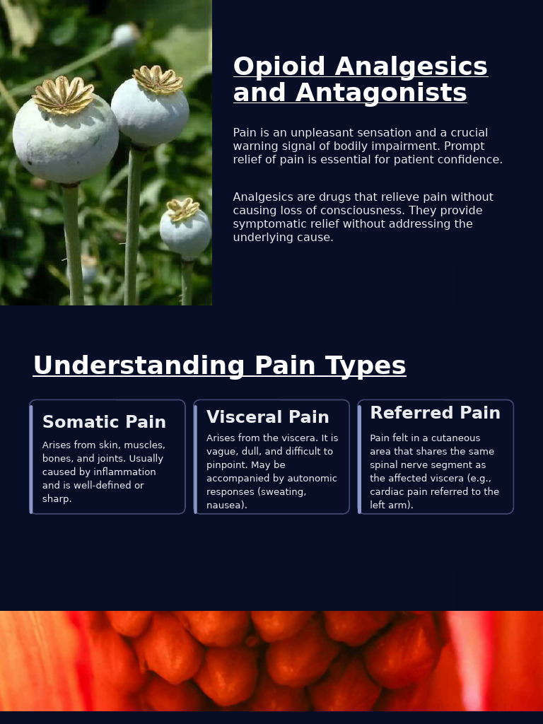 Opiods Presentation pharmacology | PDF | Opioid | Morphine