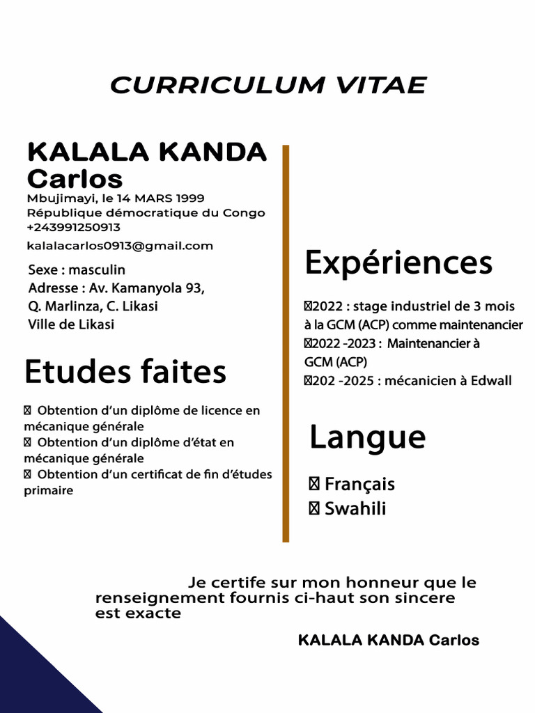 CV Carlos | PDF