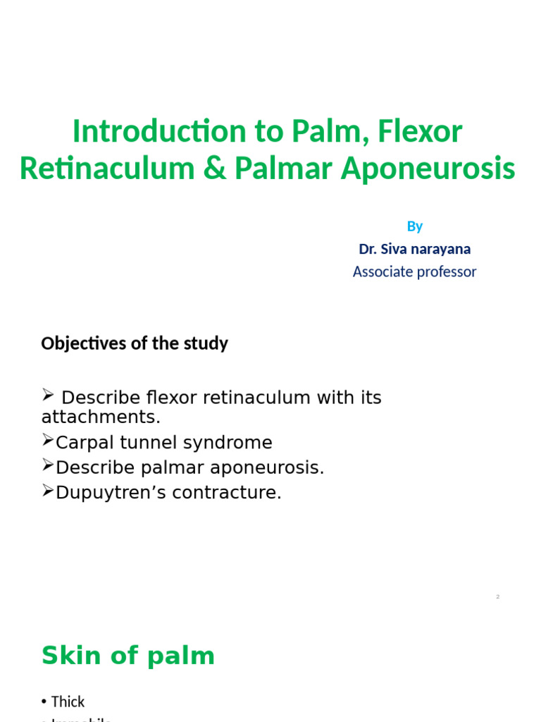 Palm | PDF | Hand | Limbs (Anatomy)