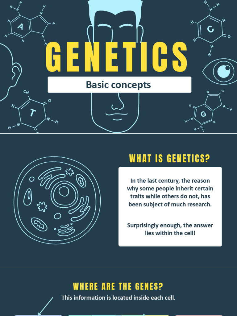 Understanding Genetics and Engineering | PDF | Molecular Cloning ...
