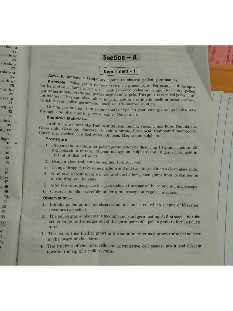 Biology Core Experiment and Spotting | PDF