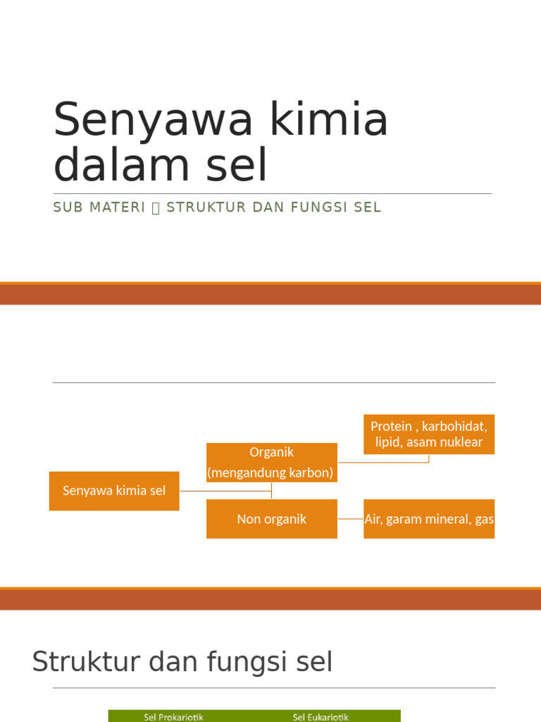 1. Senyawa Kimia, Organel Sel, Transpor Sel Dan Siklus Sel_Kelas XI | PDF