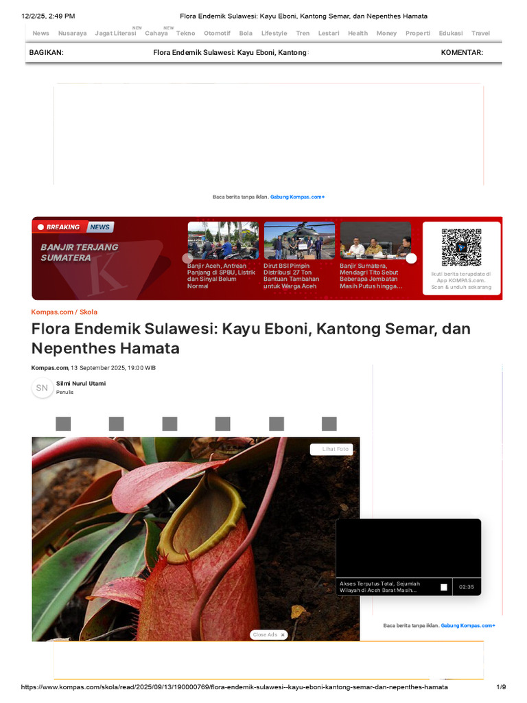 Flora Endemik Sulawesi: Eboni & Nepenthes | PDF
