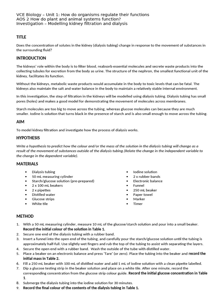 Kidney Filtration and Dialysis Model | PDF | Kidney | Hemodialysis