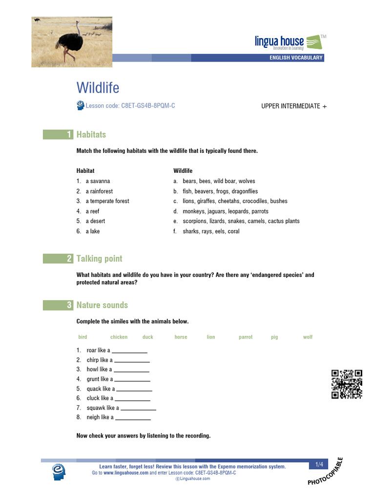 English Vocabulary: Wildlife Lesson | PDF | Predation | Zoology