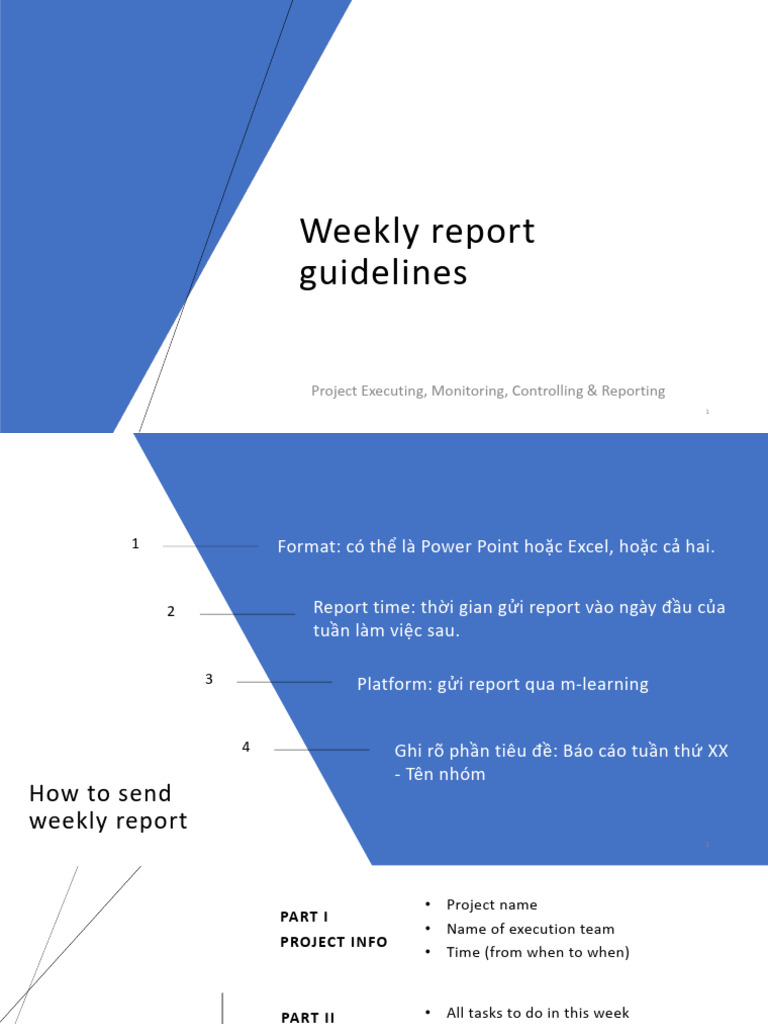 Weekly Report Guidelines | PDF