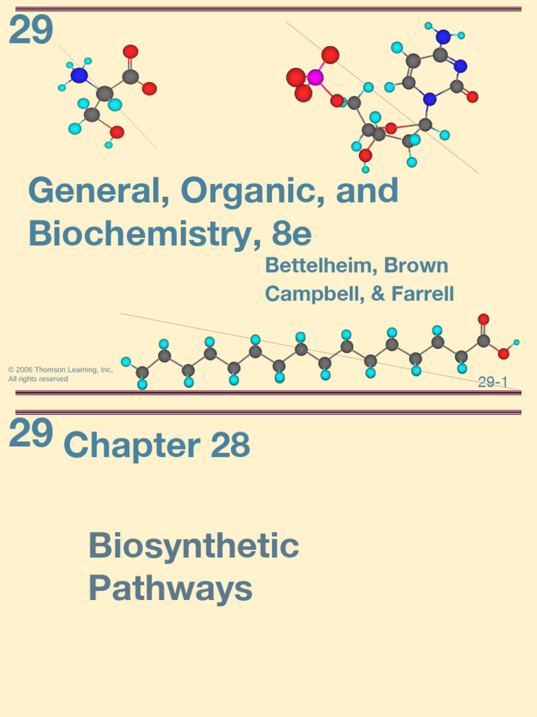 Biosynthetic Pathways Overview | PDF | Biosynthesis | Glycolysis