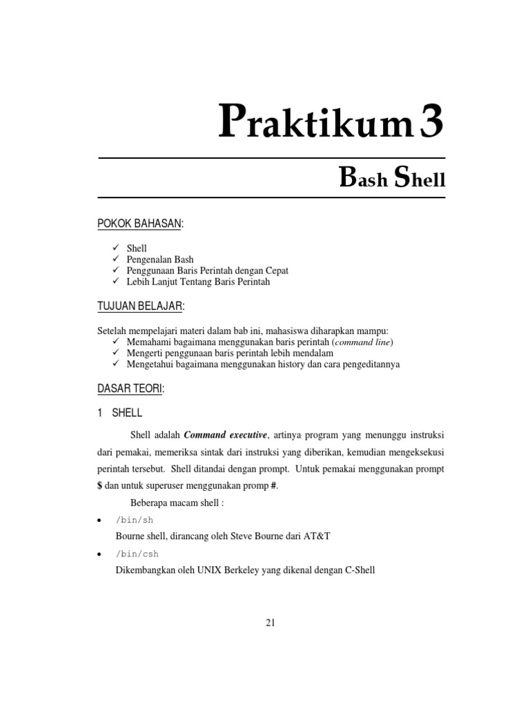 Bash Shell | PDF