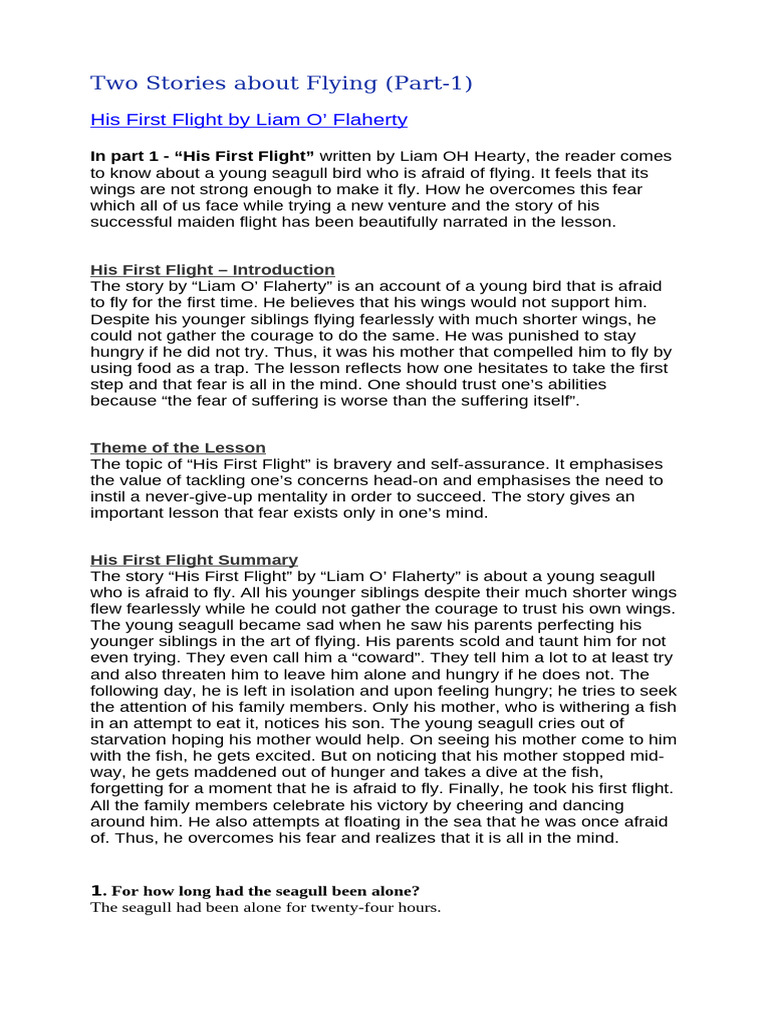 Young Seagull's First Flight Journey | PDF | Airplane
