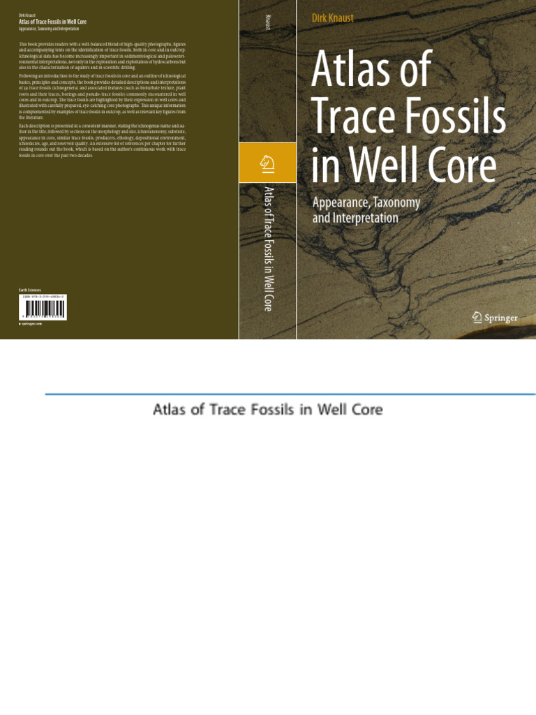 Trace Fossils in Well Core Atlas | PDF | Geology | Earth Sciences