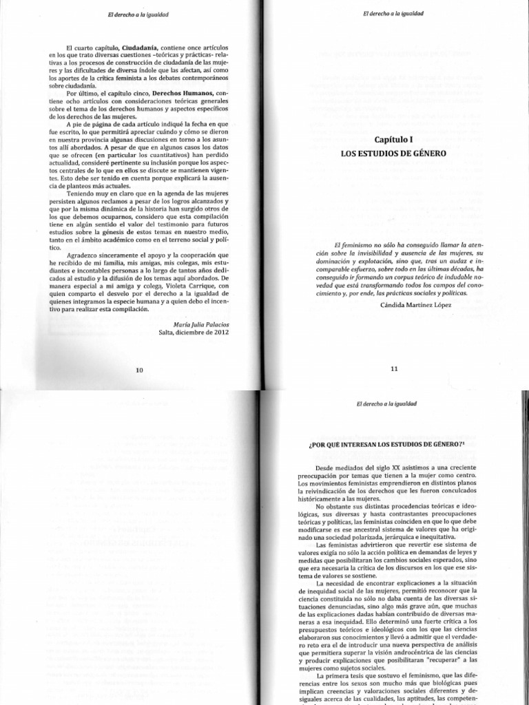 Bibliog. Oblig. Palacios.M.J.el Derecho A La Igualdad - Cap.i y II | PDF