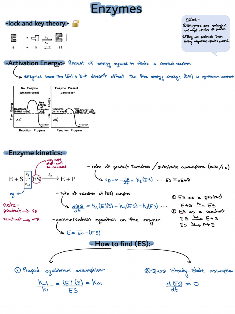 2-Enzymes Kinetics and Rate Parameters | PDF