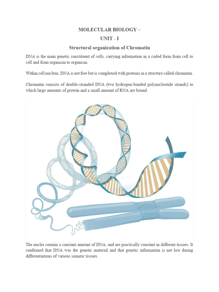Molecular Biology | PDF | Gene | Dna