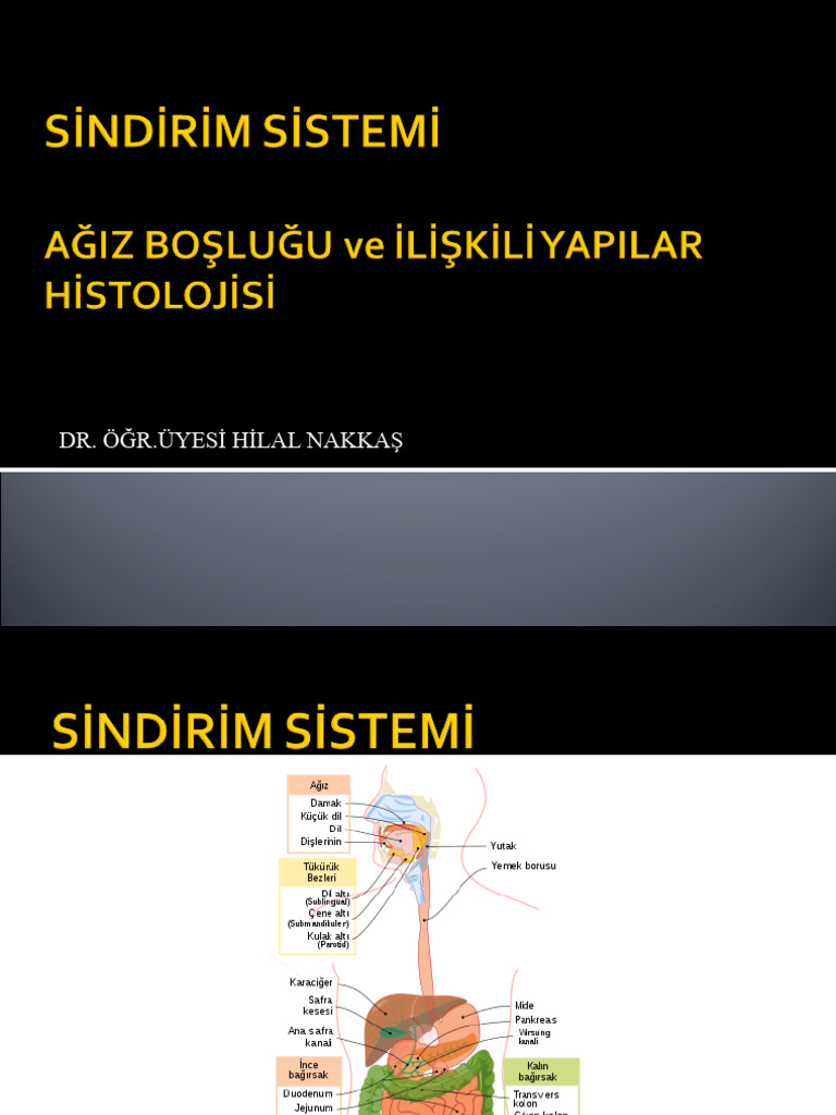 TR-DR - Hilal-Oral Kavite Ve İlişkili Yapılar | PDF