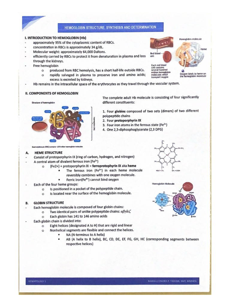 Hemoglobin Structure, Synthesis and Determination | PDF