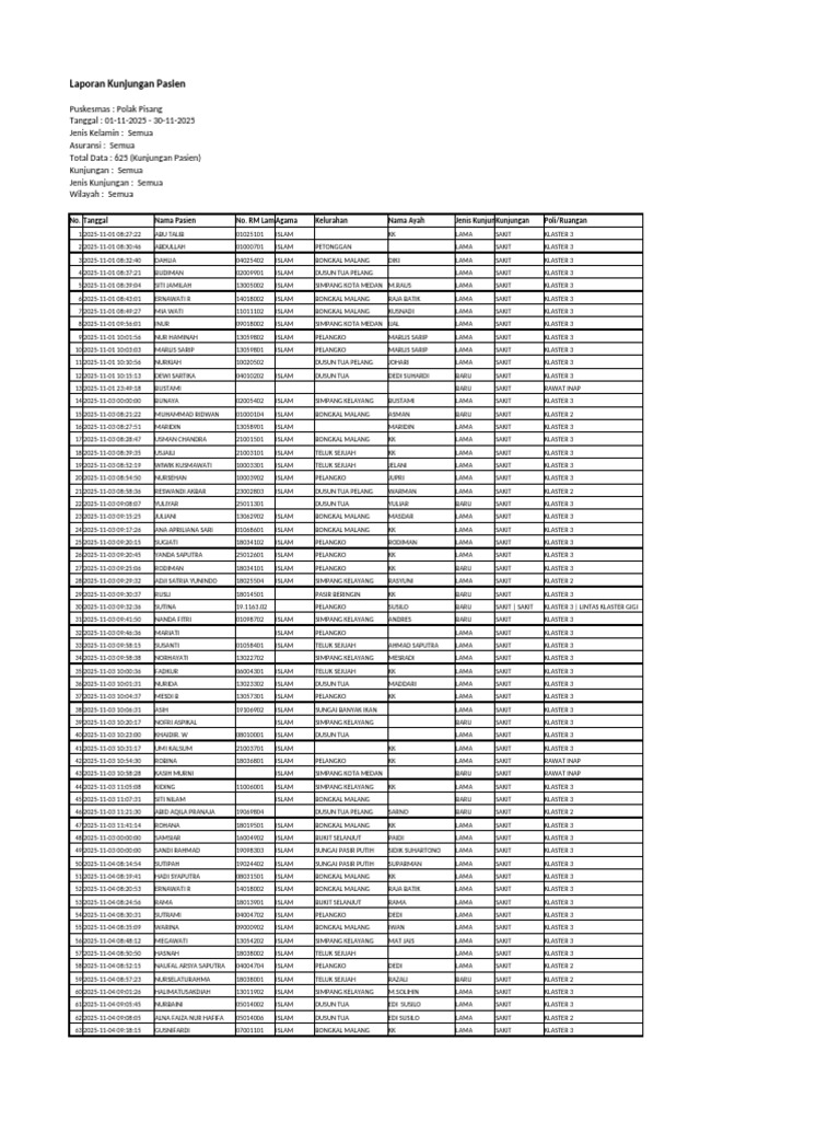 Laporan Kunjungan Pasien (12) | PDF