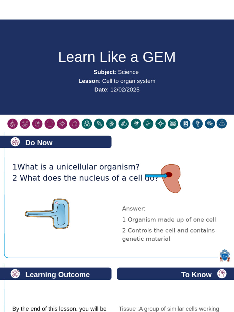 1.cell To Organ System | PDF | Tissue (Biology) | Human Body