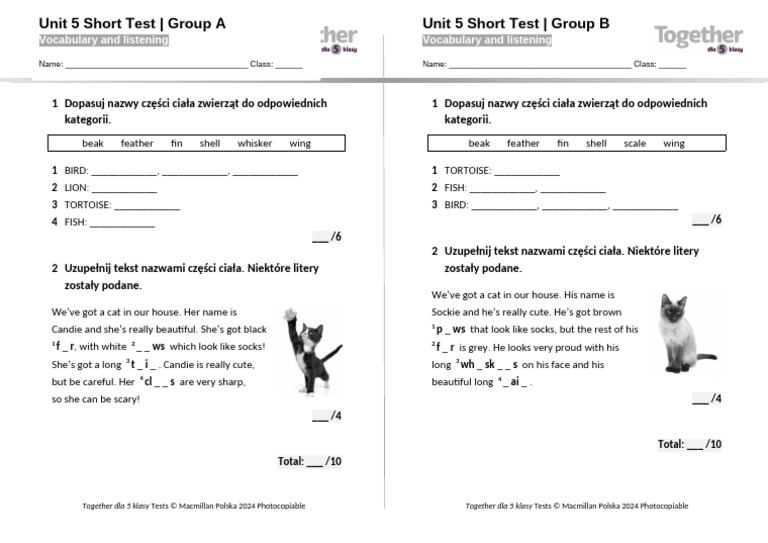 Together Kl5 Short Test U5 Vocabulary and Listening AB | PDF