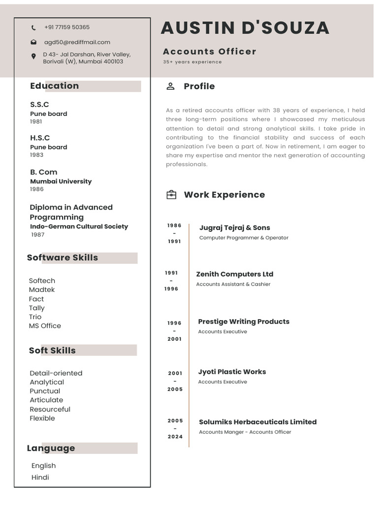 Austin D'Souza.pdf | PDF | Audit | Business