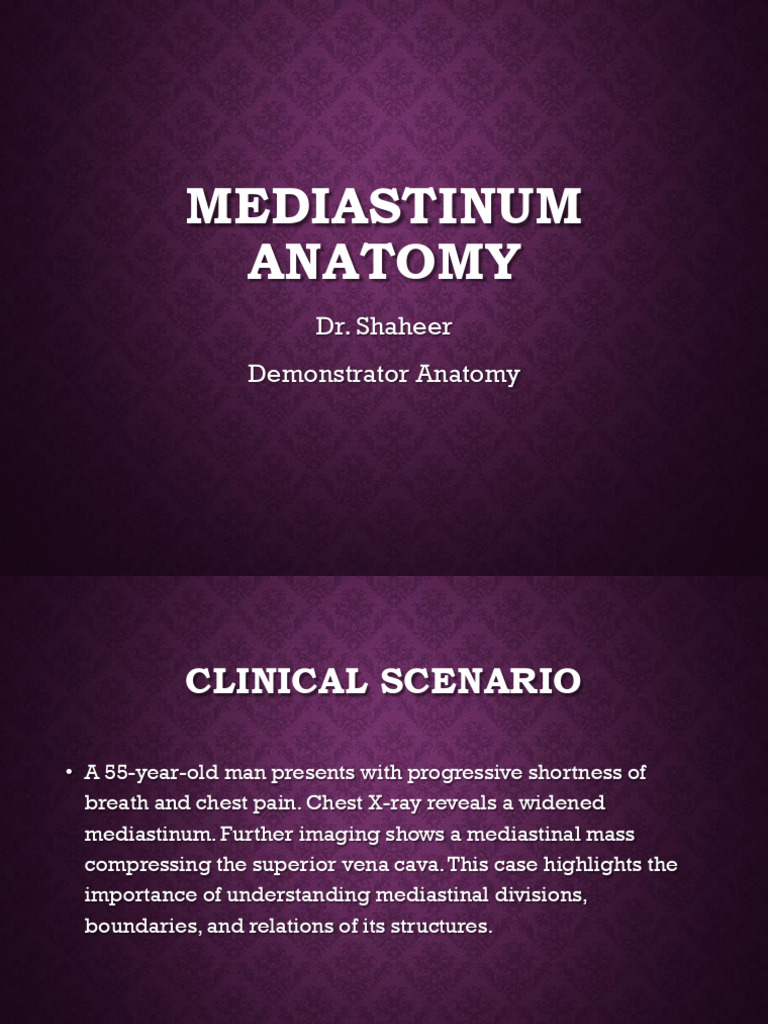 Mediastinum Anatomy Final Presentation | PDF | Thorax | Esophagus