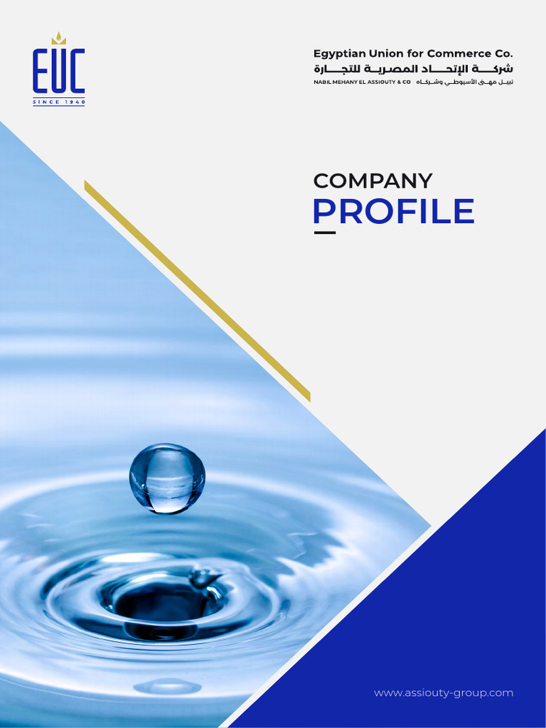 EUC Company Profile | PDF