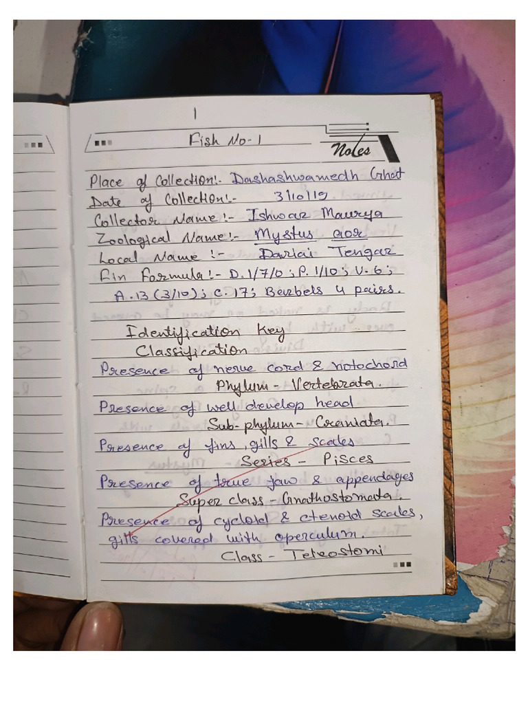 Fish Diary of India | PDF