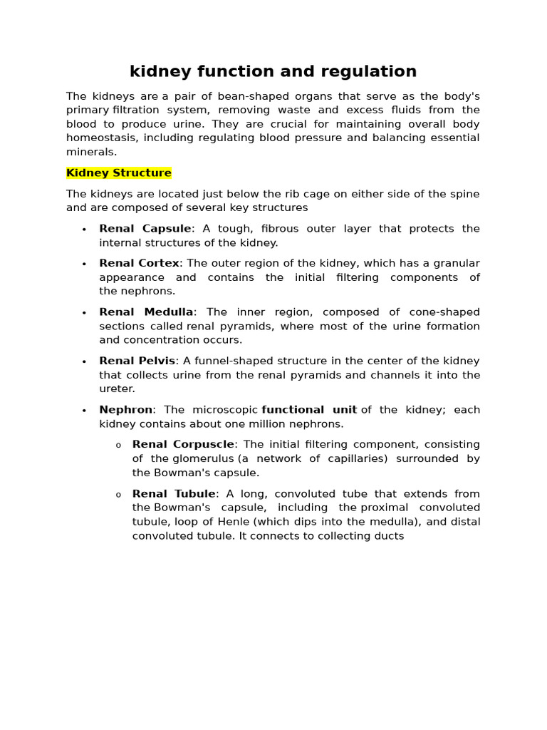 Kidney Function and Regulation Explained | PDF | Kidney | Urinary System