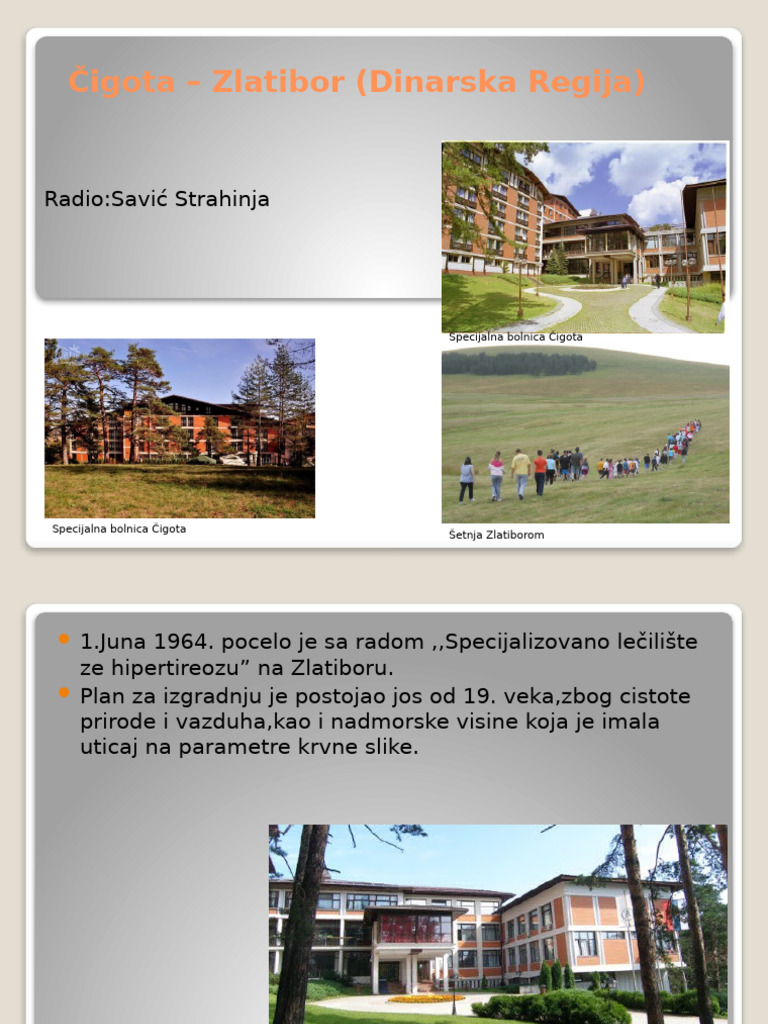 Čigota - Zlatibor (Dinarska Regija) | PDF