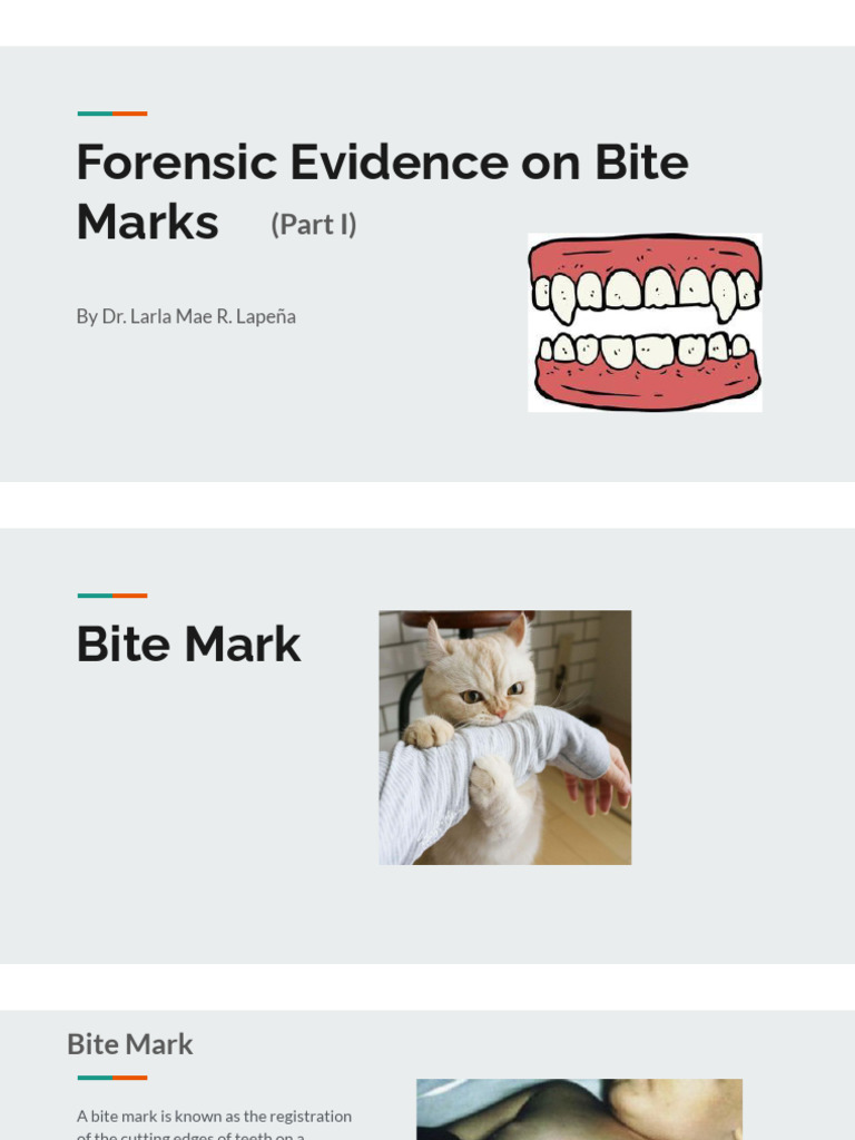 Forensic Bite Mark Analysis Explained | PDF