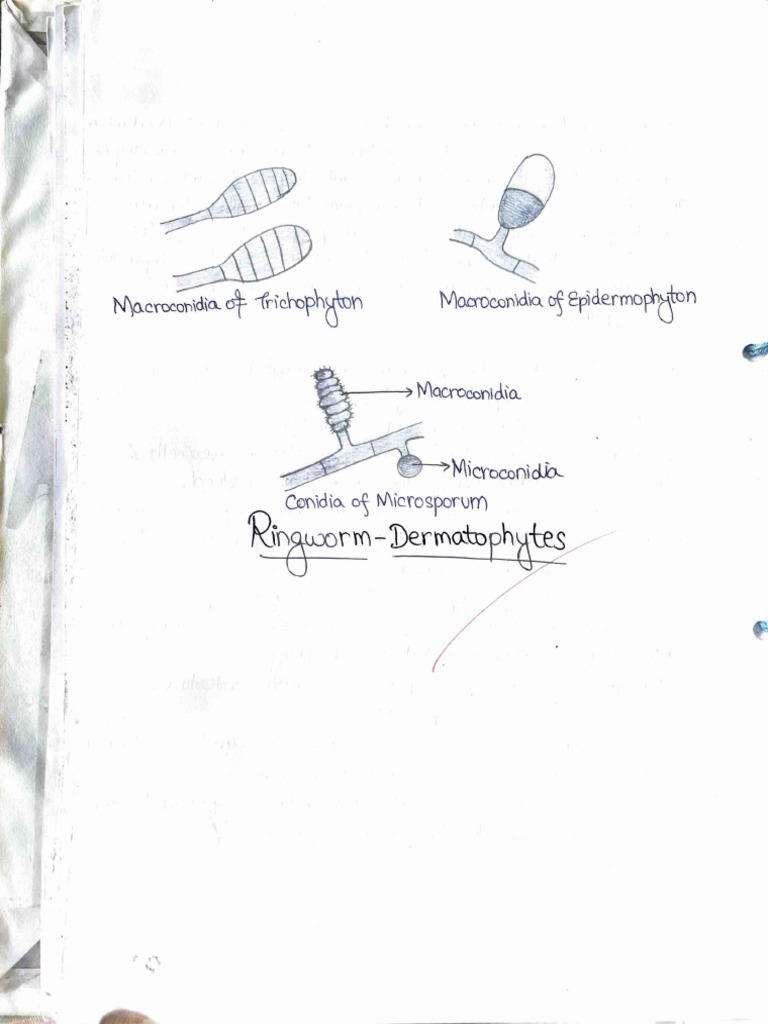 Biology Lab Manual Part 2 | PDF