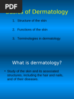 Regional Anesthesia | PDF | Anesthesia | Spinal Cord